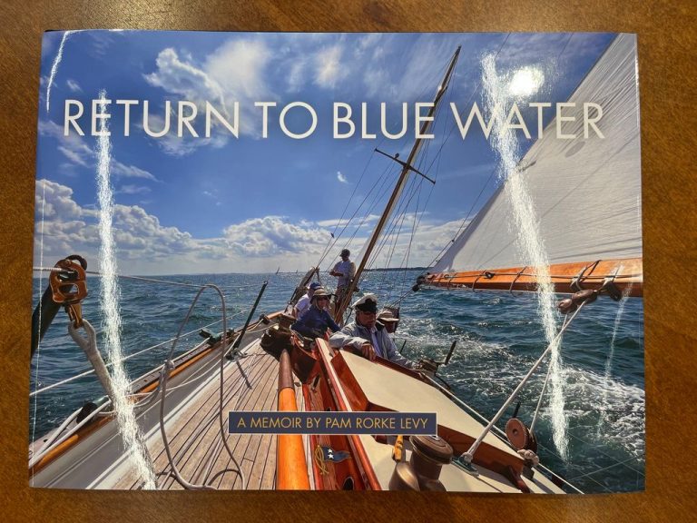 Return to Blue Water: So Much More than a Memoir - Carol Newman Cronin